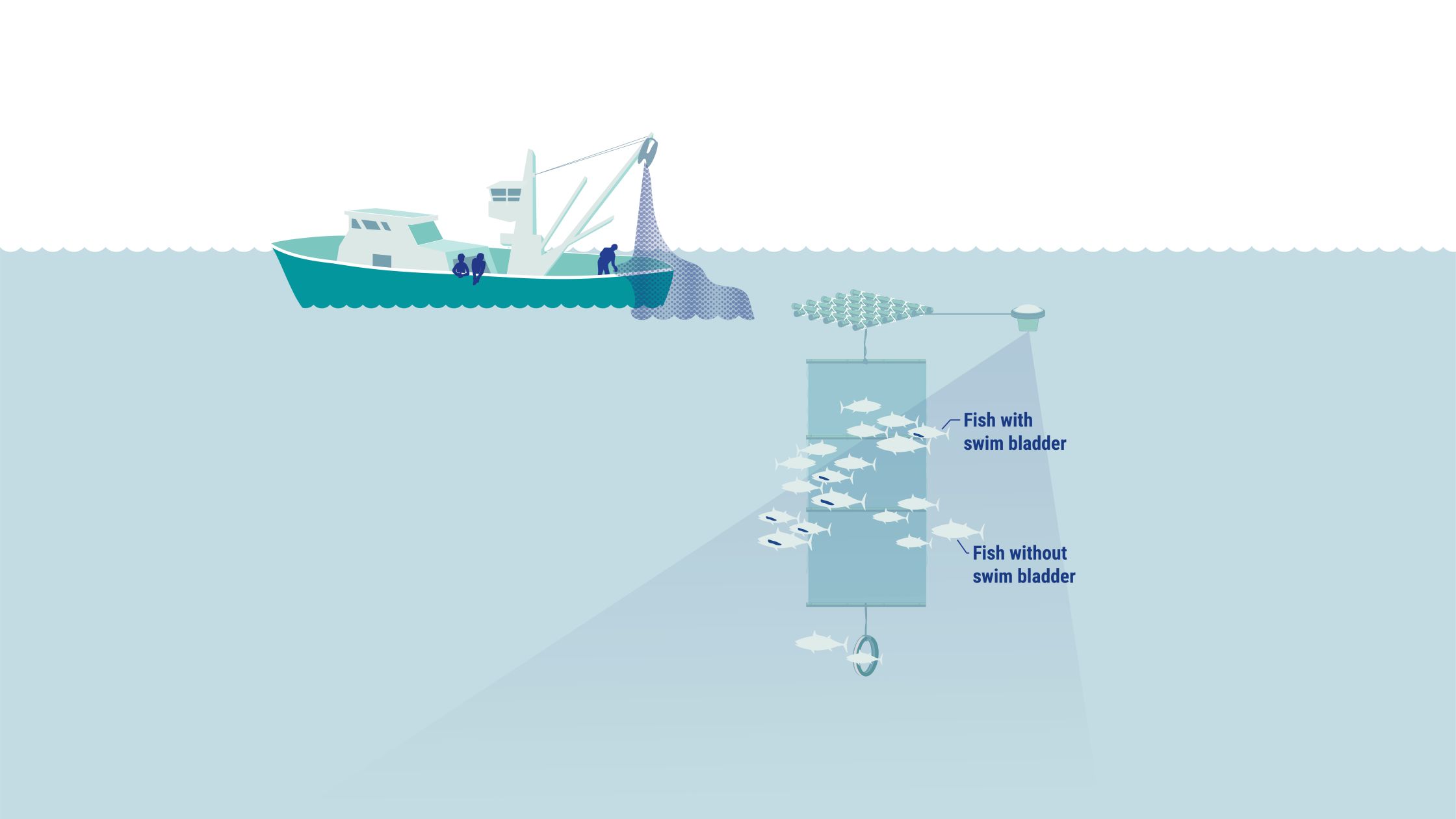 Acoustic Discrimination